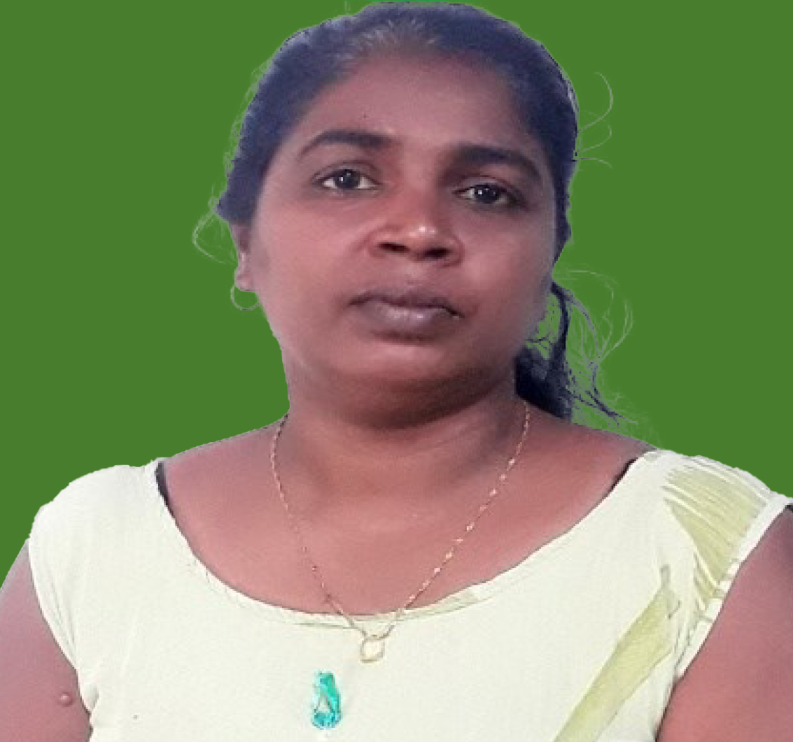 Museum Staff - Lanka Mangrove Museum