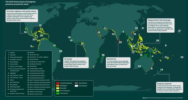Causes of Mangrove Loss Across the Globe, cause | Lanka Mangrove Museum ...