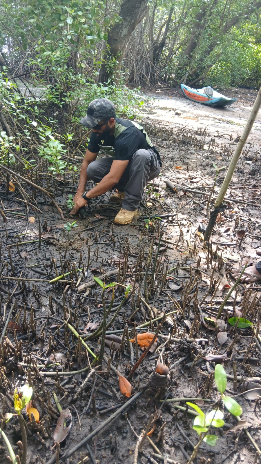 Environmental Expert from Kuwait Visits the Lanka Mangrove Museum and ...